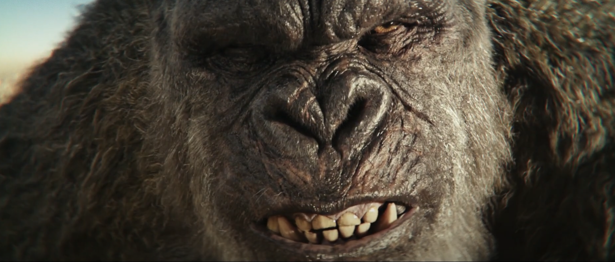Godzilla X Kong The New Empire trailer rides high – Cinematic Point Of View