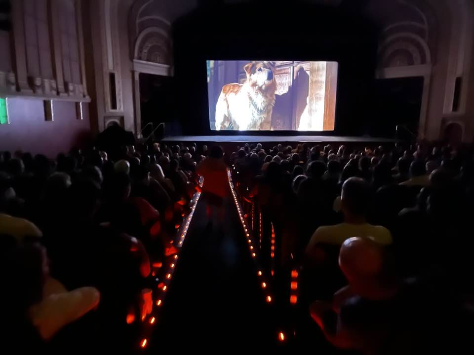 Cinematic Point Of View – Movies, TV, Books, Anime, Godzilla, and More